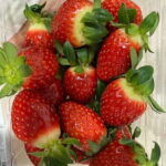 Seoul: Alpaca/Nami/Eobi(+RailBike, Strawberry optional) Tour - An In-Depth Review of the Tour Experience