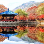 Seoul: Autumn Foliage - Mt. Naejang + Jeonju Hanok Village - Authentic Insights from Reviews