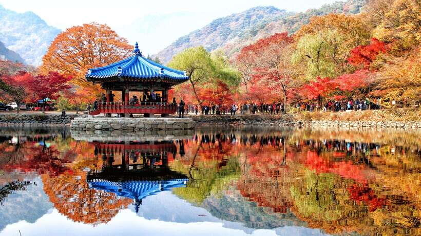 Seoul: Autumn Foliage - Mt. Naejang + Jeonju Hanok Village - Authentic Insights from Reviews