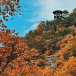 Seoul City Highlights Tour: Hanok Village, Scenic Routes - Practical Details and Considerations