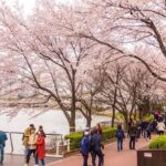 Seoul City Tour - Free Photo Service - Who Should Book This Tour?