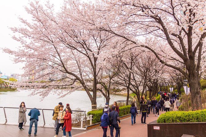 Seoul City Tour - Free Photo Service - Who Should Book This Tour?