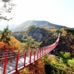 Seoul DMZ Tour with 3rd Tunnel and Red Suspension Bridge - Why Imjingak Park Sets the Tone