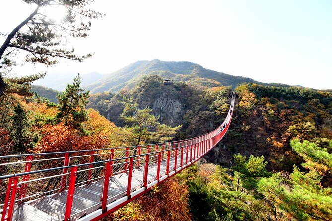 Seoul DMZ Tour with 3rd Tunnel and Red Suspension Bridge - Why Imjingak Park Sets the Tone