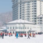 Seoul: Elysian Gangchon Winter Ski with Nami Island Day Tour - The Real Value of This Tour