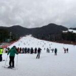 Seoul: Elysian Ski Resort One Day Tour - Why the Elysian Ski Resort Stands Out