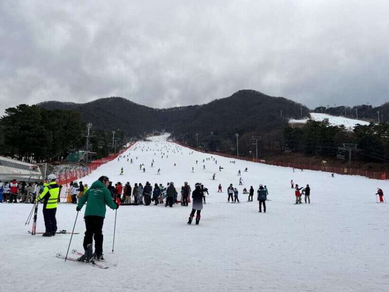 Seoul: Elysian Ski Resort One Day Tour - Why the Elysian Ski Resort Stands Out