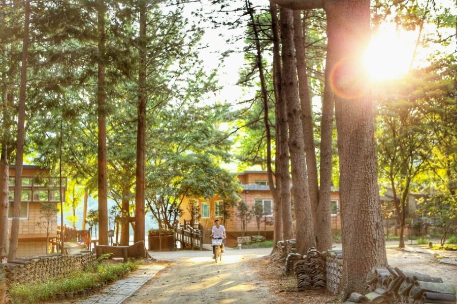 Seoul: Eobi Valley(Winter), Strawberry, Nami Island and Bike - Detailed Review of the Experience