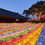 Seoul Fun Private Tour (customizable) - Pricing and Value