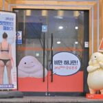 Seoul: Gangnam Tour on Youth and Society in South Korea - An In-Depth Look at the Gangnam Tour