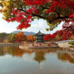 Seoul: Gyeongbok Palace, N Seoul Tower (with Cable Car) - A Deep Dive into the Experience