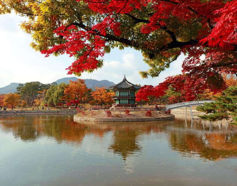 Seoul: Gyeongbok Palace, N Seoul Tower (with Cable Car)