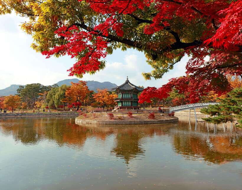 Seoul: Gyeongbok Palace, N Seoul Tower (with Cable Car) - A Deep Dive into the Experience