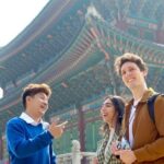 Seoul Highlights & Hidden Gems Tours by Locals: Private + Custom - Practicalities and Value