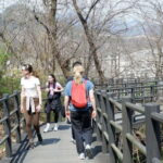 Seoul: Hiking Ansan Jarak-gil Trail & Makgeolli Experience - The Itinerary in Detail