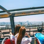 Seoul Hop-On Hop-Off Downtown Palace Course - Why Consider This Tour? Key Points to Keep in Mind