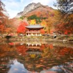 Seoul: Hwadamsup & Luge & Korea Folk Village One Day Tour - An Overview of the Tour Experience