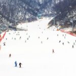 Seoul: Jisan Forest Winter Ski Day Tour with Basic Lesson - Analyzing the Value