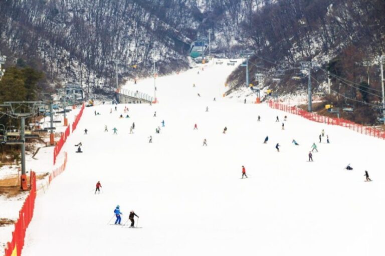 Seoul: Jisan Forest Winter Ski Day Tour with Basic Lesson - Analyzing the Value