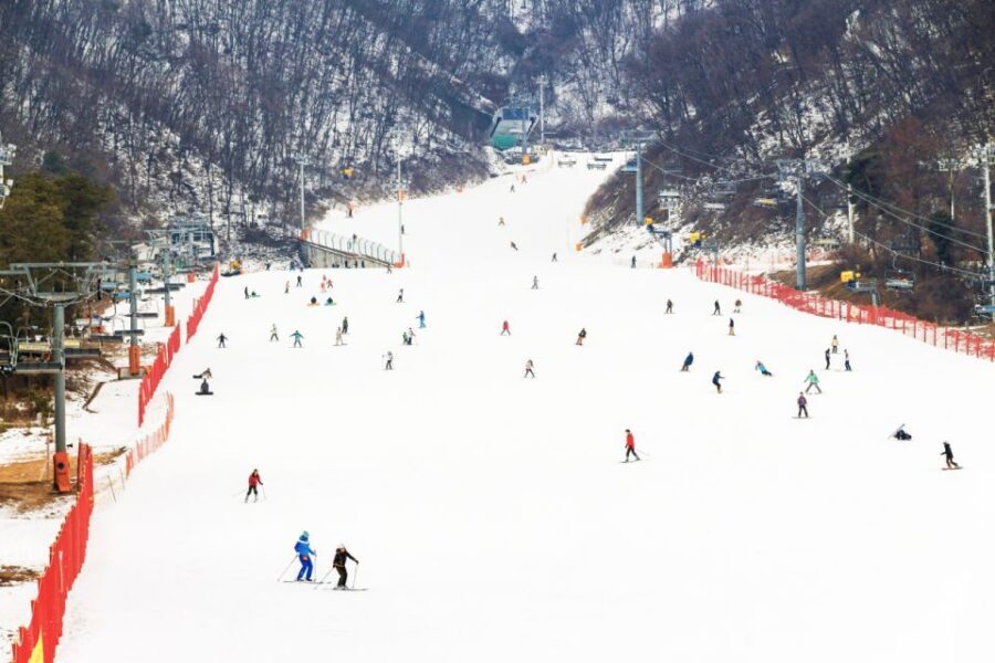 Seoul: Jisan Forest Winter Ski Day Tour with Basic Lesson - Analyzing the Value