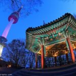 Seoul Like a Local: Customized Private Tour - The Step-by-Step Experience: What You Can Expect