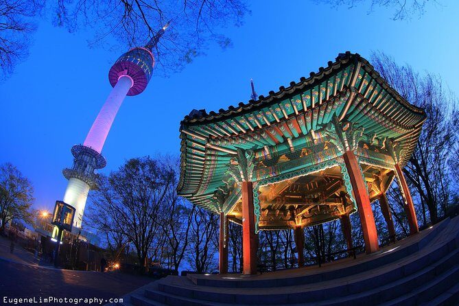 Seoul Like a Local: Customized Private Tour - The Step-by-Step Experience: What You Can Expect