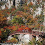 Seoul: Mt.Seorak, Nami Island, No Shopping(+RailBike Option) - An In-Depth Look at the Tour Experience