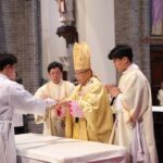 Seoul Myeongdong Catholic Church Historic Private Walking Tour - Why This Tour Excels