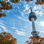 Seoul: N Tower Observatory Ticket - A Detailed Look at the Experience