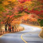 Seoul: Naejangsan National Park Autumn Foliage One Day Tour - The Experience According to Travelers