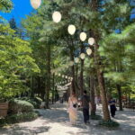 Seoul: Nami Island & Petite France Tour with Railbike Option - Authentic Experiences and Authenticity