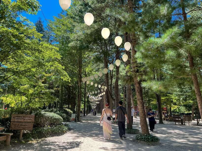 Seoul: Nami Island & Petite France Tour with Railbike Option - Authentic Experiences and Authenticity