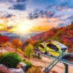 Seoul: Pocheon Art Valley, Garden and Fruit Picking Day Tour - FAQ