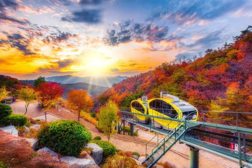 Seoul: Pocheon Art Valley, Garden and Fruit Picking Day Tour - FAQ