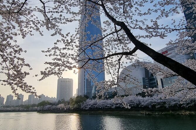 Seoul Private Tour Influencer for a Day - Who Will Love This Tour?