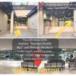 Seoul: Samaksan Cable Car & Nami with Alpaca World/Railbike - The Itinerary: What to Expect