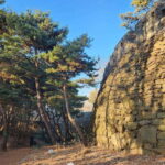 Seoul: Services of a Local for a Day (Paperwork/Tour/Fun) - Practicalities — What’s Included and What’s Not?