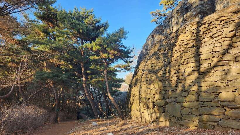 Seoul: Services of a Local for a Day (Paperwork/Tour/Fun) - Practicalities — What’s Included and What’s Not?