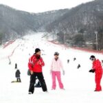 Seoul Ski Tour at Jisan Forest Resort - The Reality of Skipping Gear and Lessons