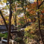 Seoul Unveiled: Untold Stories & Lost Histories Tour - Stepping Inside a Historic Home