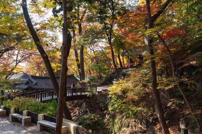 Seoul Unveiled: Untold Stories & Lost Histories Tour - Stepping Inside a Historic Home