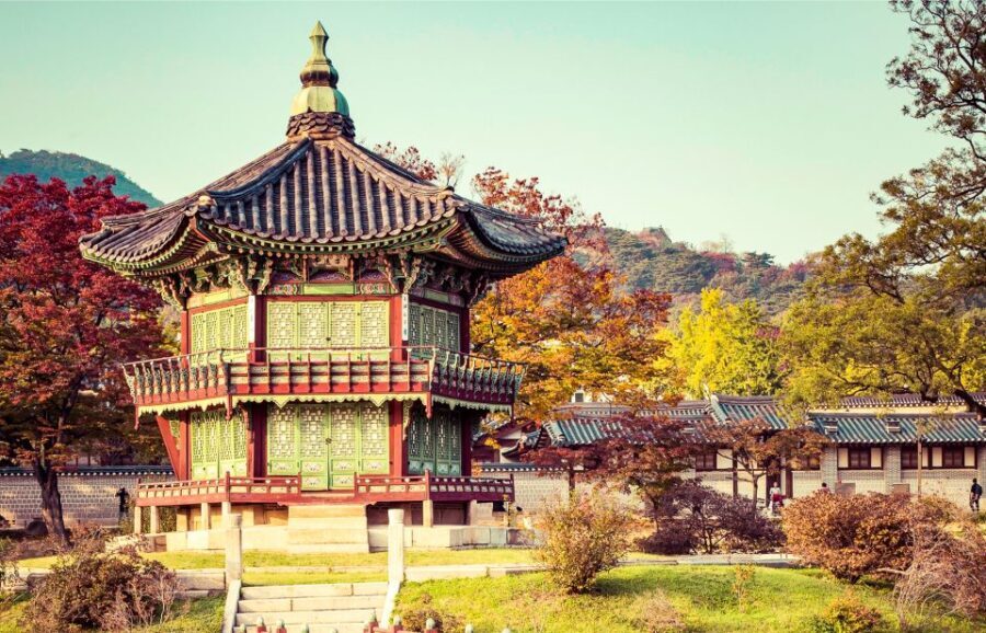 Seoul Your Way: Private Custom Experience with a Local Guide - What to Expect During Your Tour