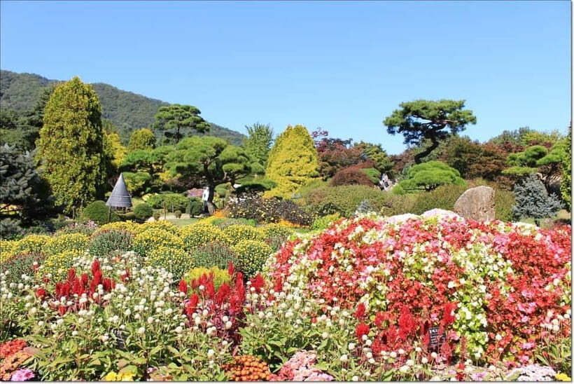 Seoul:Private-Nami Island,Morning Calm Garden,Petite France - Nami Island: A Cultural Icon and Natural Beauty