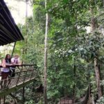 Sepilok Orang Utan, Labuk Bay Proboscis Monkey and Sun Bear Tour - Transportation, Guides, and Group Dynamics