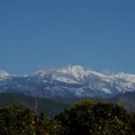 Sequoia National Park: Sherman Tree & Congress Trail Walk - What Do the Reviews Say?