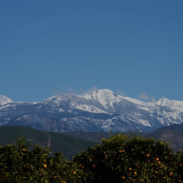 Sequoia National Park: Sherman Tree & Congress Trail Walk - What Do the Reviews Say?
