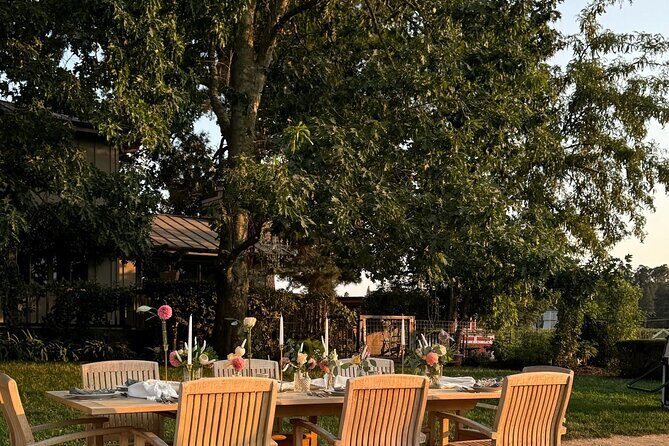 Serene and Romantic Wine Tasting Next to the Vines in Napa Valley - The Itinerary: A Closer Look