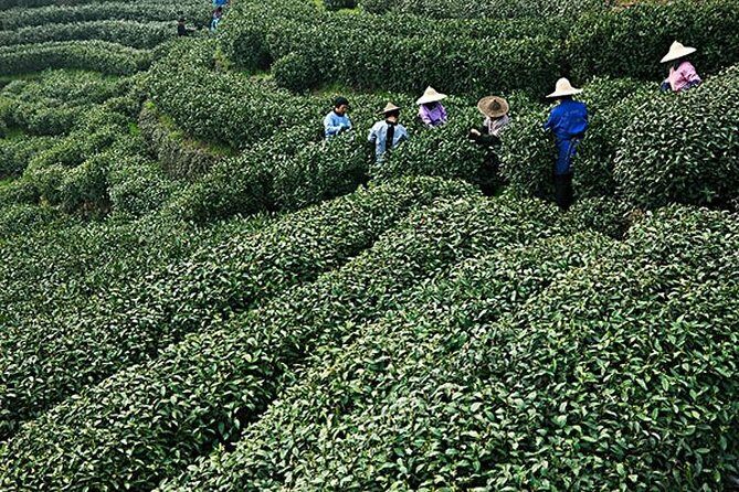 Shanghai Day Tour to Hangzhou - Frequently Asked Questions