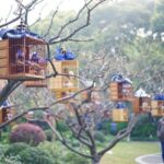 Shanghai Like a Local: Customized Private Tour - What the Tour Offers: An Authentic Look at Shanghai