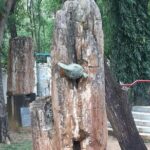 Shantiniketan Day Excursion from Kolkata by Train - Authentic Experiences and Traveler Feedback